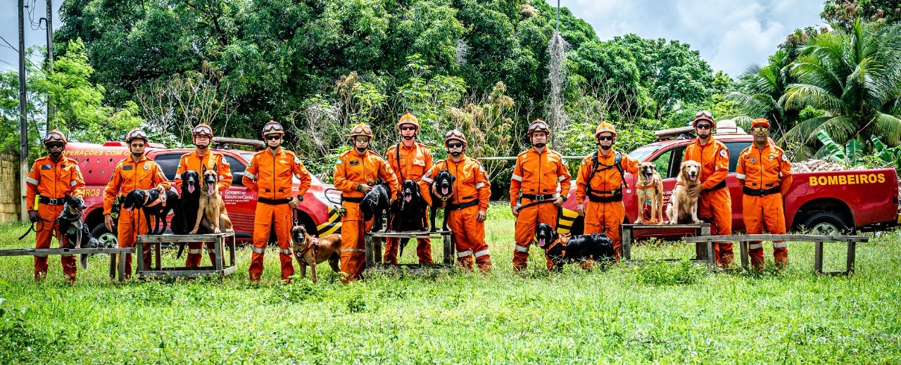 CBCães do CBMCE comemora 15 anos de resgates e salvamentos no Ceará e ...