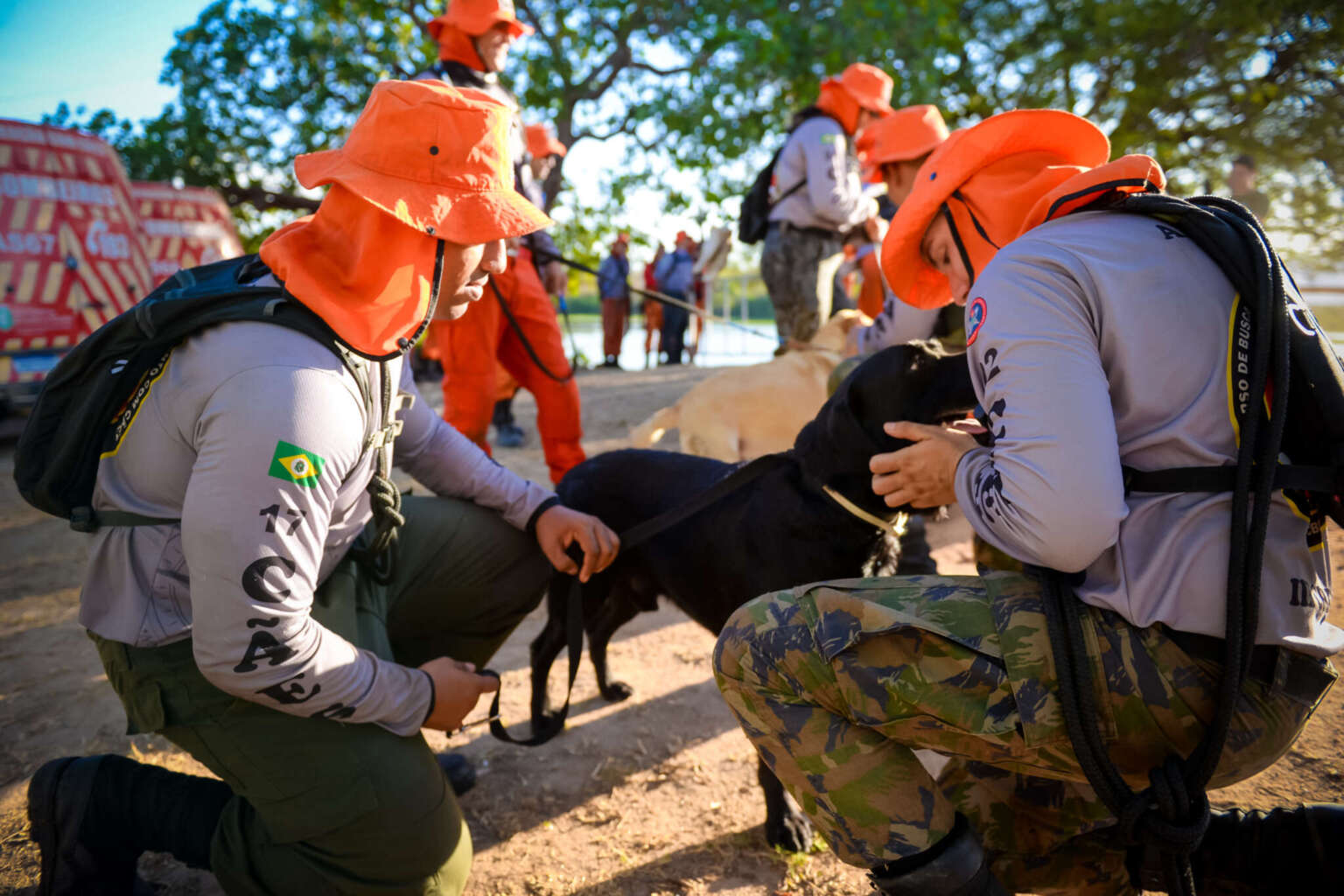 Aesp/CE finaliza o Curso de Busca, Resgate e Salvamento com Cães ...