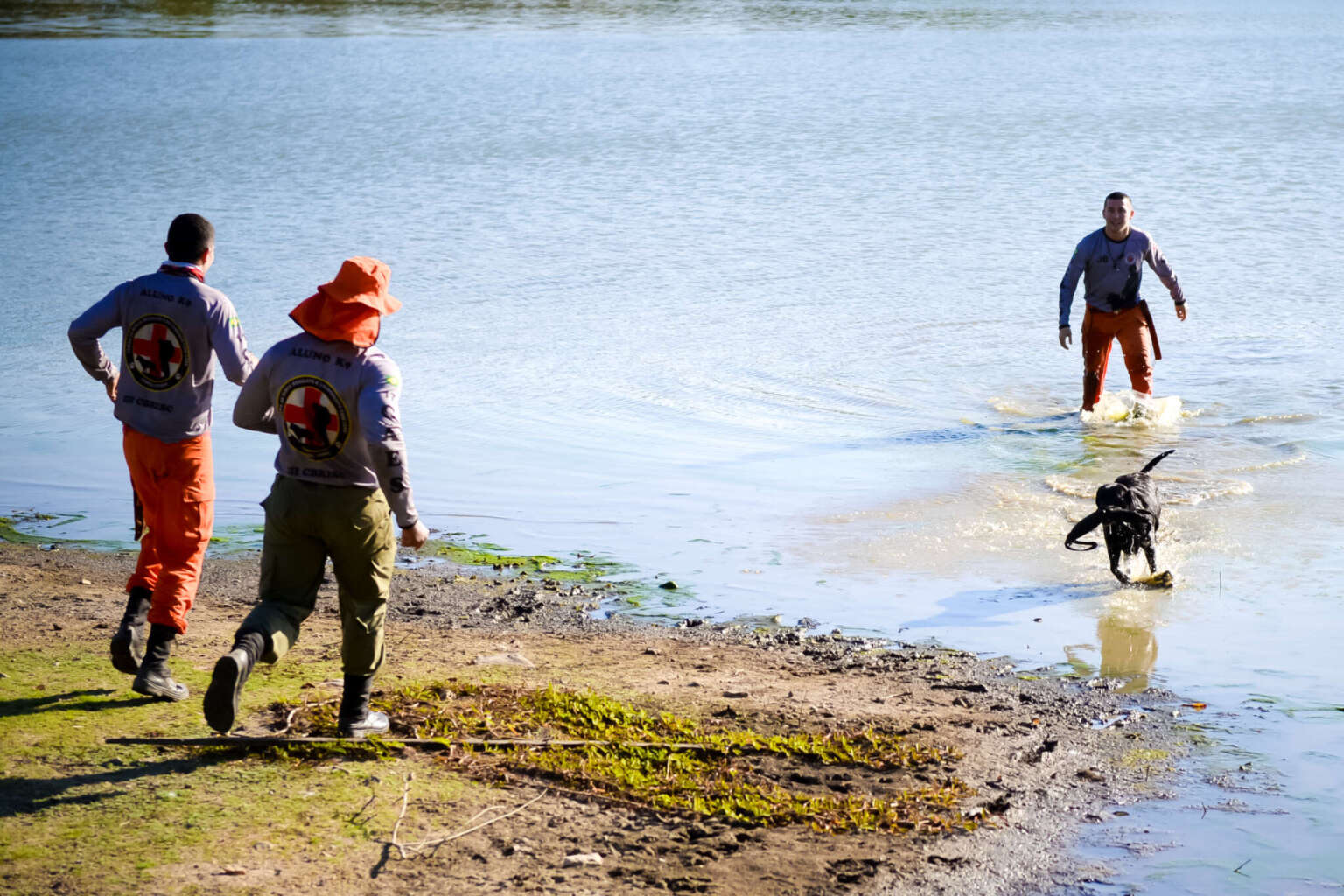 Aesp/CE finaliza o Curso de Busca, Resgate e Salvamento com Cães ...