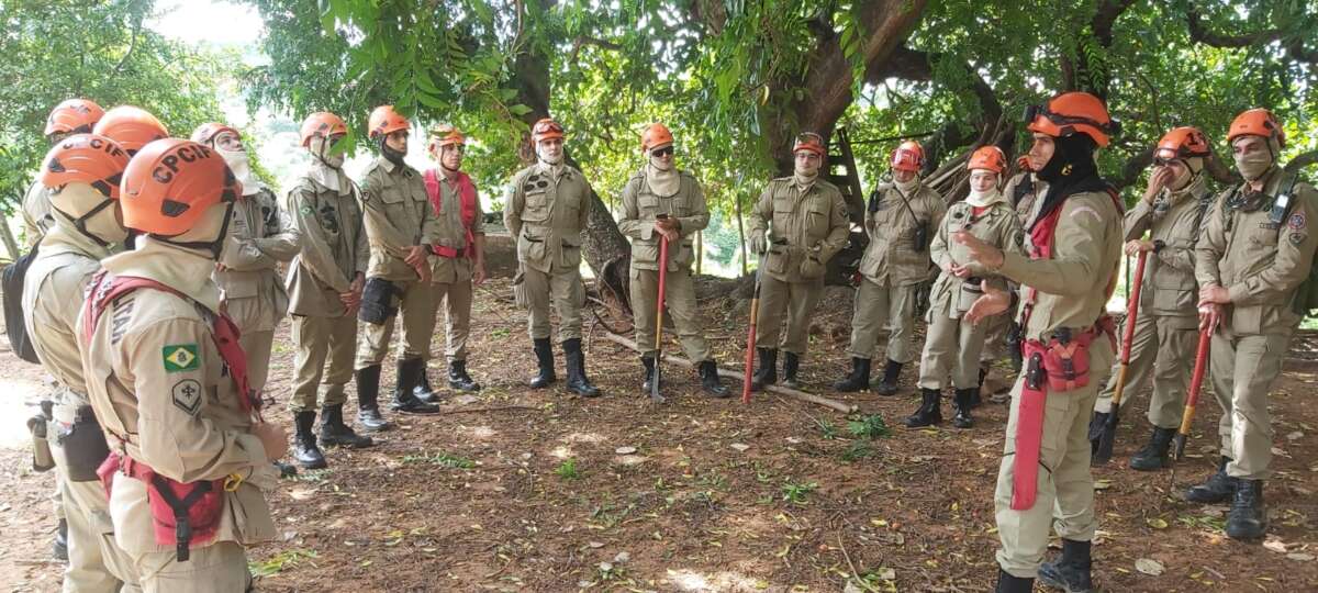 CBMCE realiza treinamento de busca e resgate em mata no Crato ...